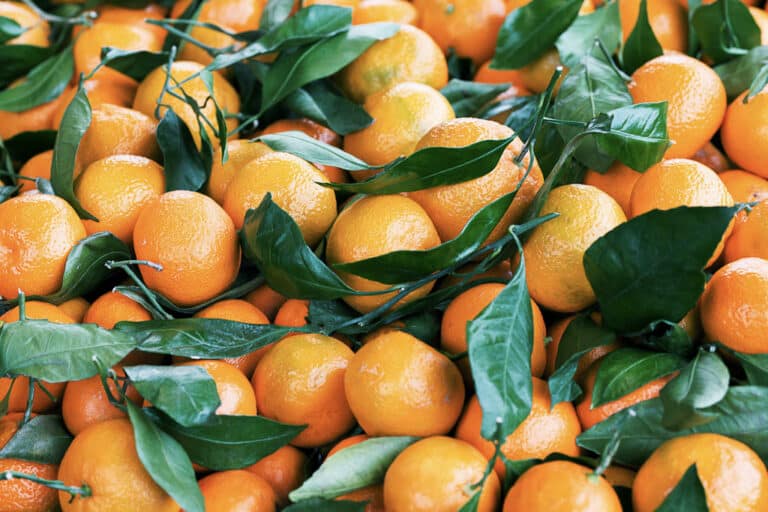 Winter Oranges | Recipes with Oranges | Winter Fruits